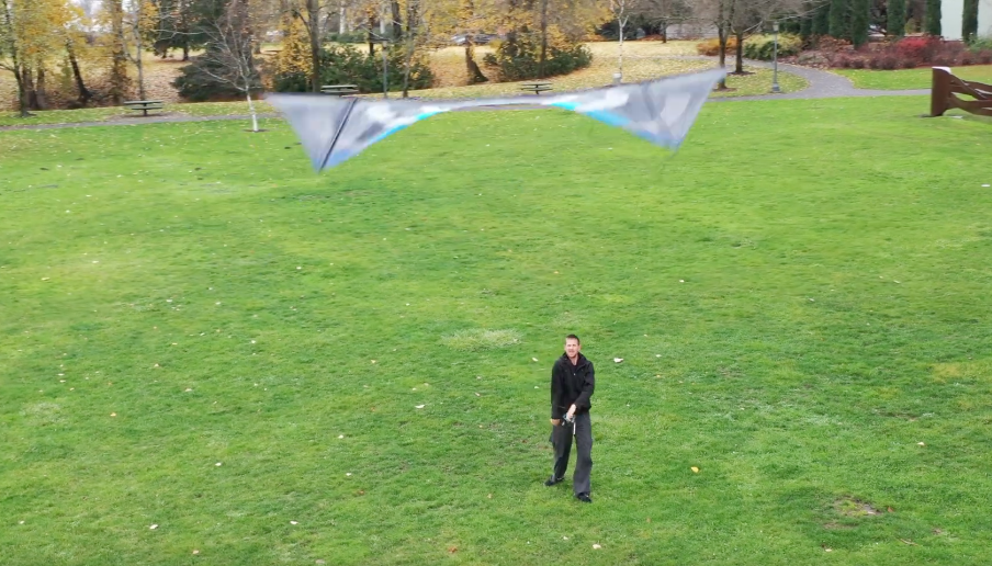 DJInn Perspective — John Barresi | Kite Instruction, Performance, Team ...